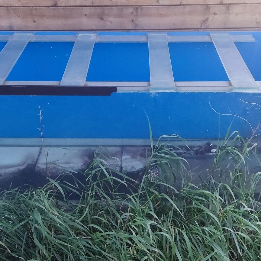 Аквариум 1000 литров