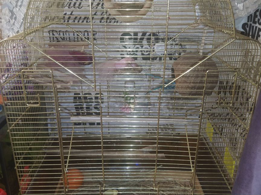 Клетка для птиц