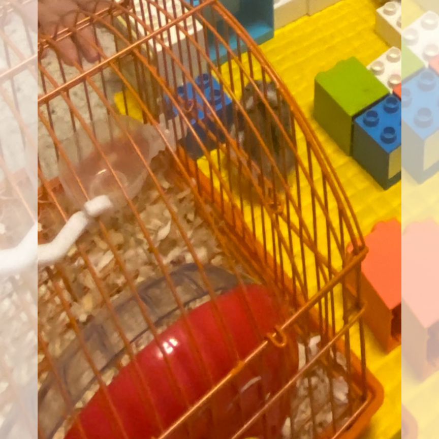 Клетка для грызунов маленькая