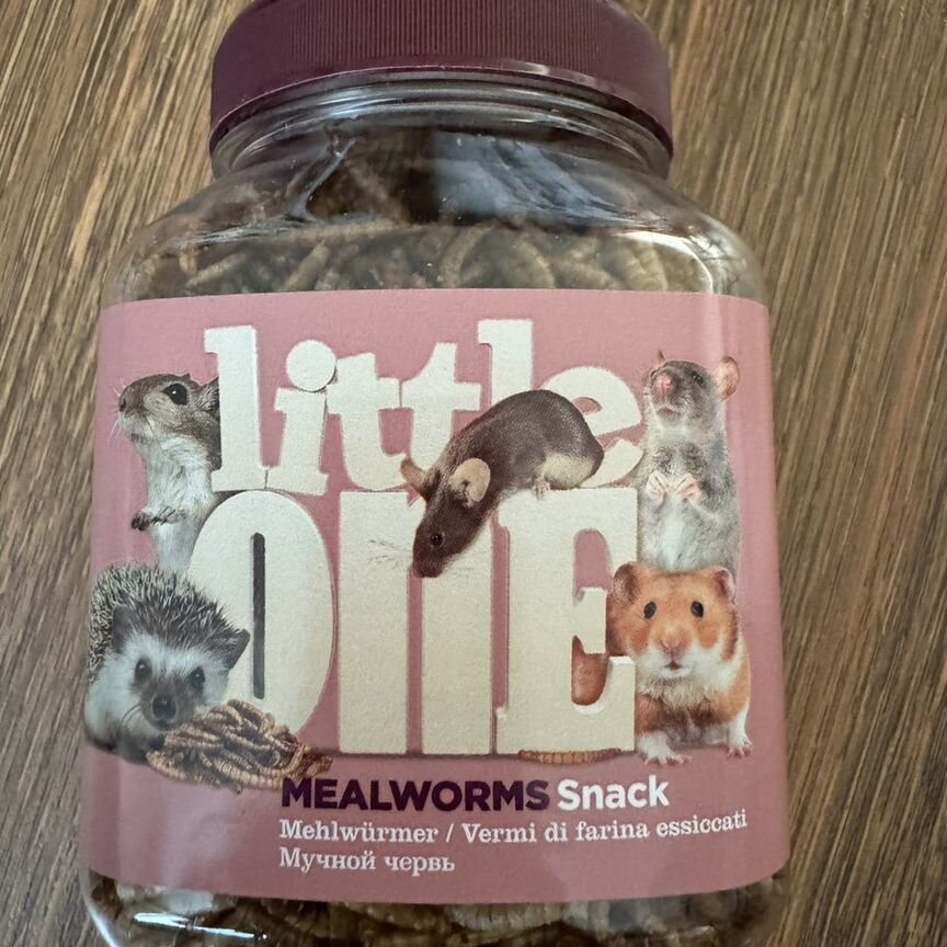 Мучной червь Little One