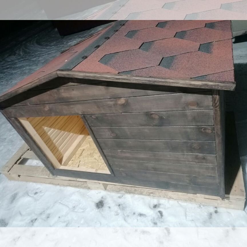 Взрослый пёс от частного владельца