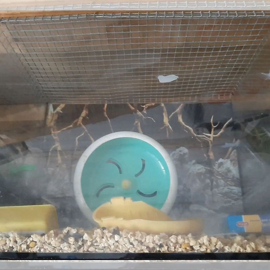 Аквариум для грызунов