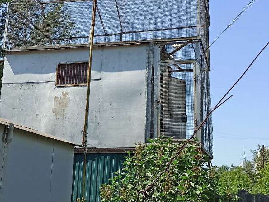 Продам голубятню