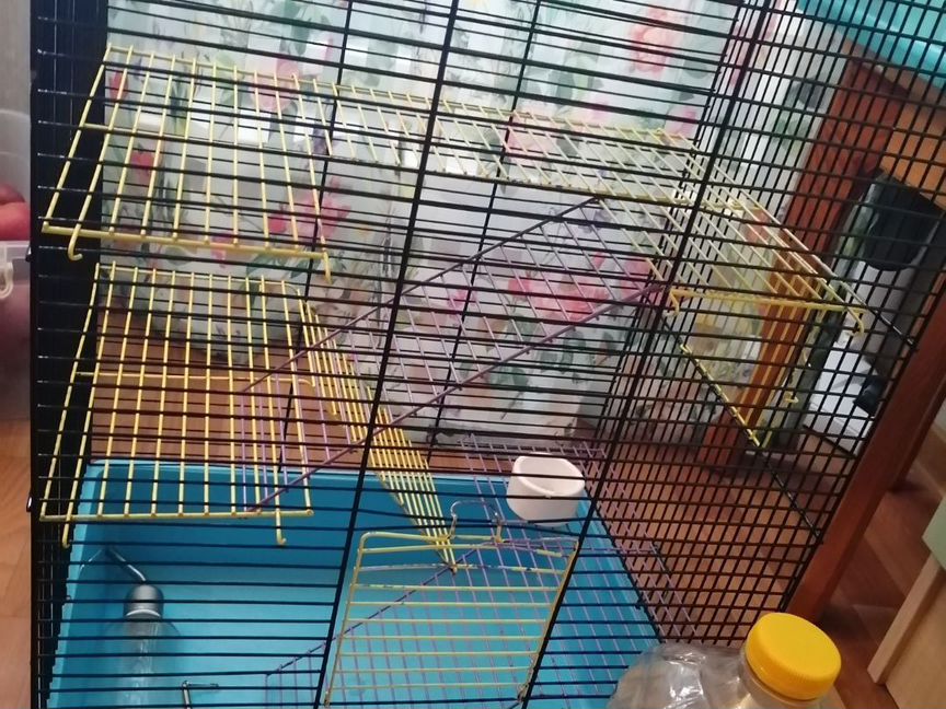 Клетка для грызунов