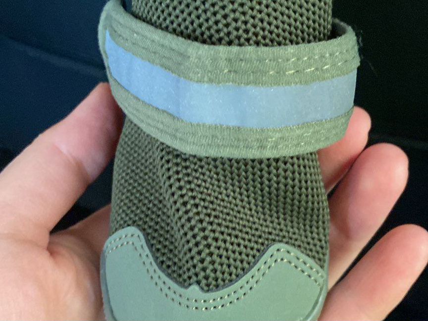 Ботинки4 шт Шарпей, Бульдог и.т.д 15 кг