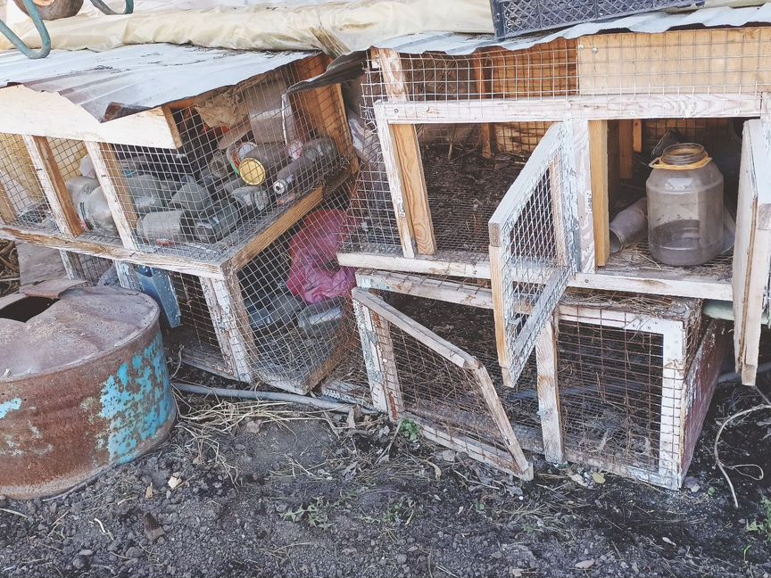 Клетки под кроликов