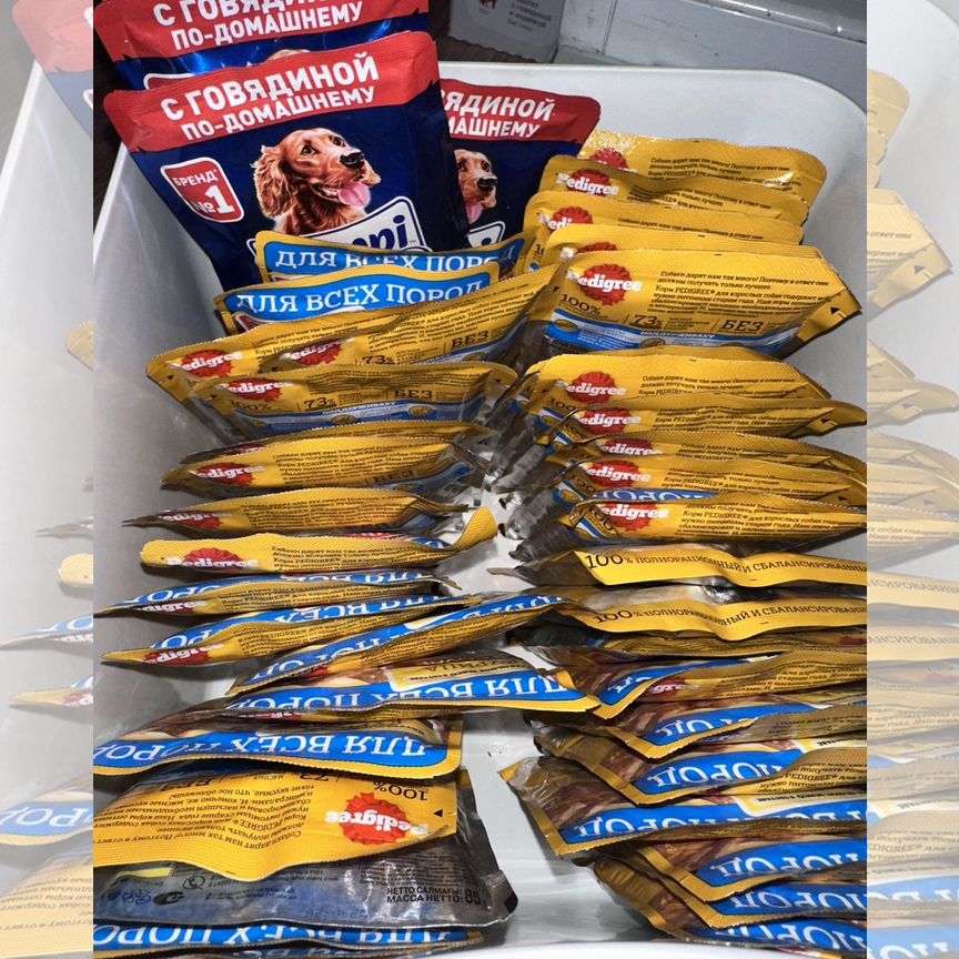 Жидкий собачий корм