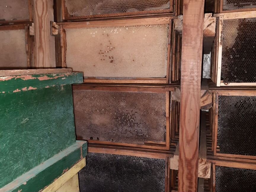 Сушь для пчел