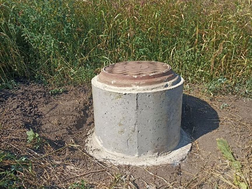 Сено суданка