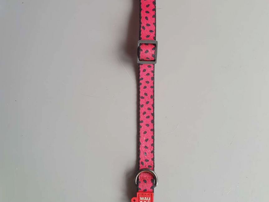 Ошейник для собаки waudog