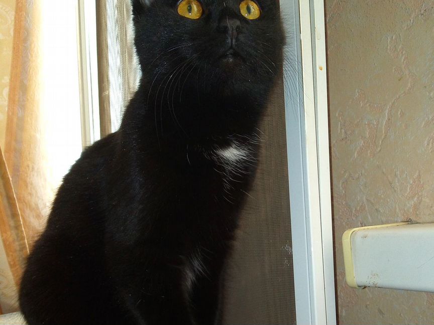 Ксюша ждет хозяев