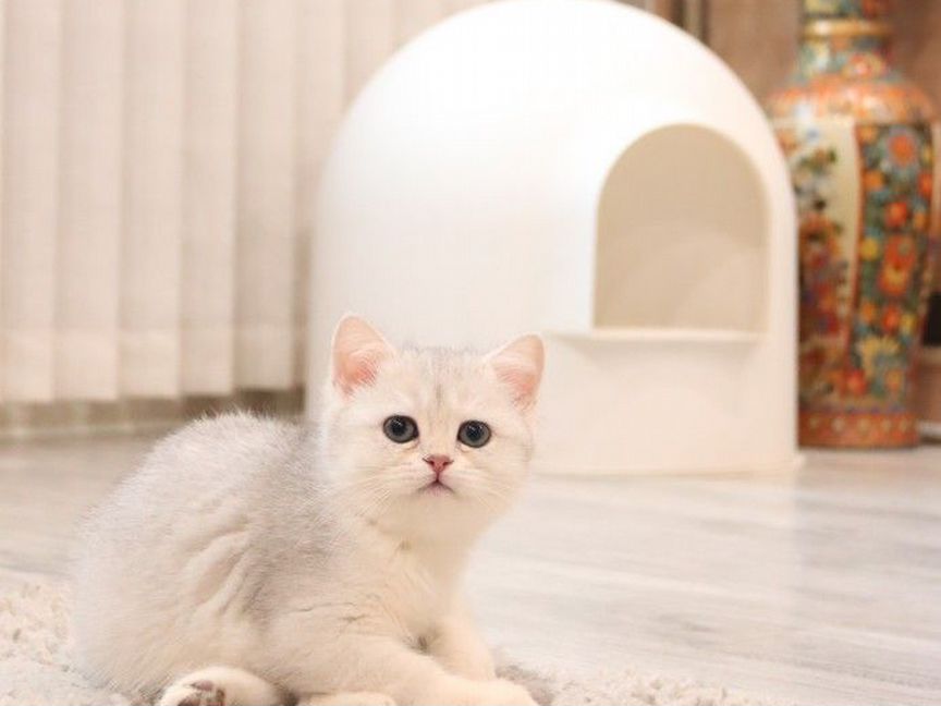 Родители- Вы где