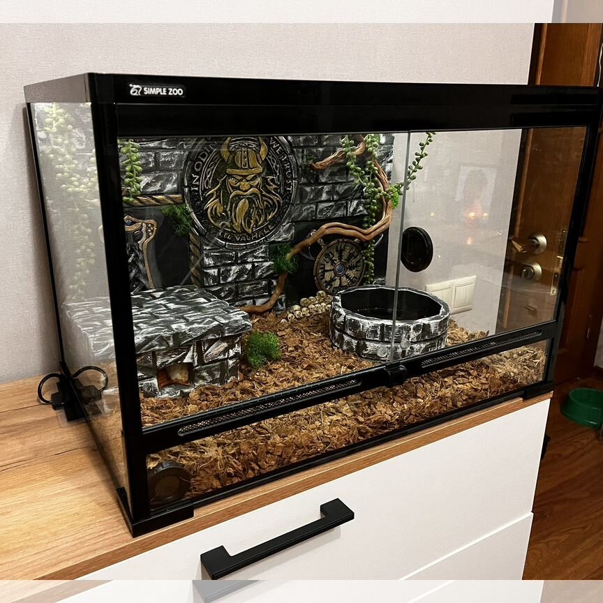 Террариум со змеей