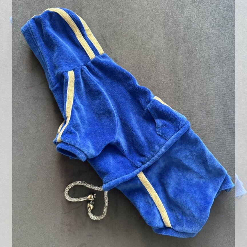 Одежда для собак