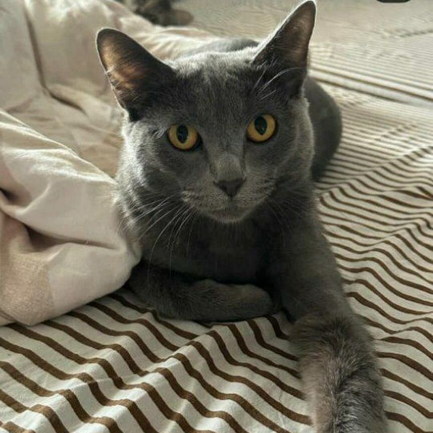 Малыш в добрые руки