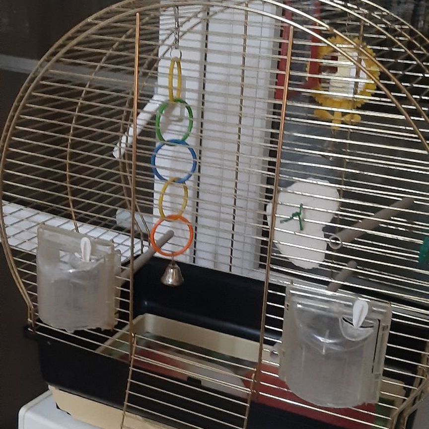 Клетка для Попугая