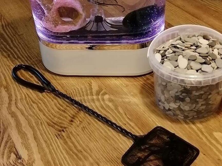 Аквариум / акваферма C300 Mini Lazy Fish Tank