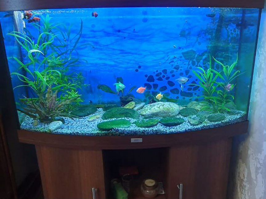 Аквариум