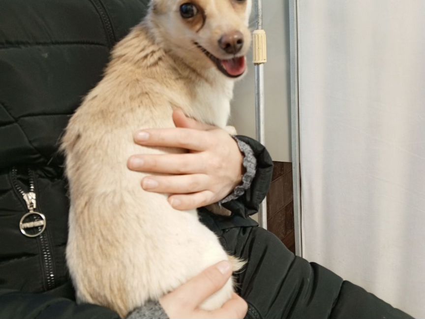 Помогите вернутся домой