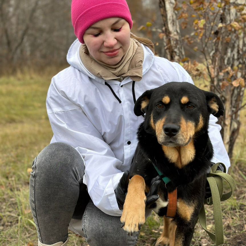 Отдам в добрые руки