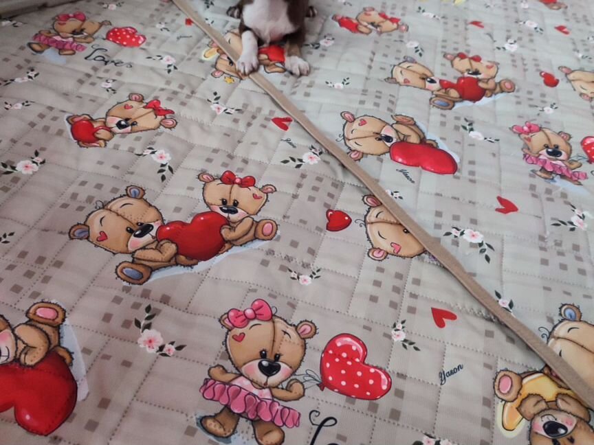 Малыш чихуа шоколад