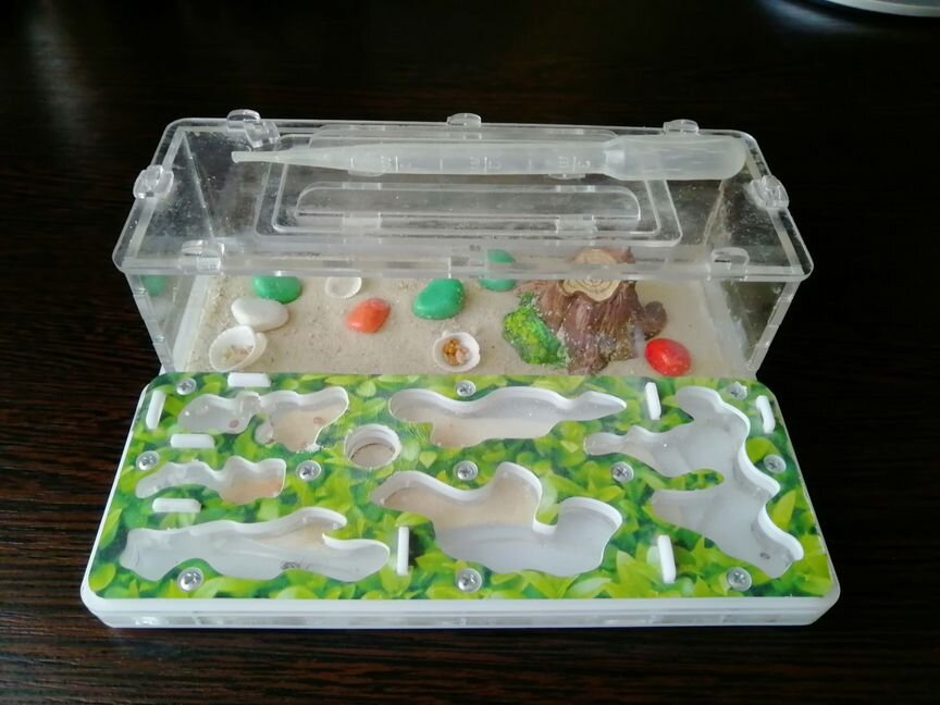 Муравьиная ферма бу