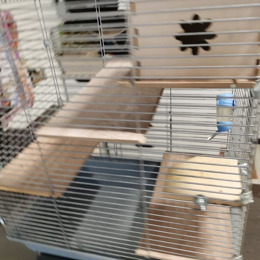 Большая клетка для шишншиллы