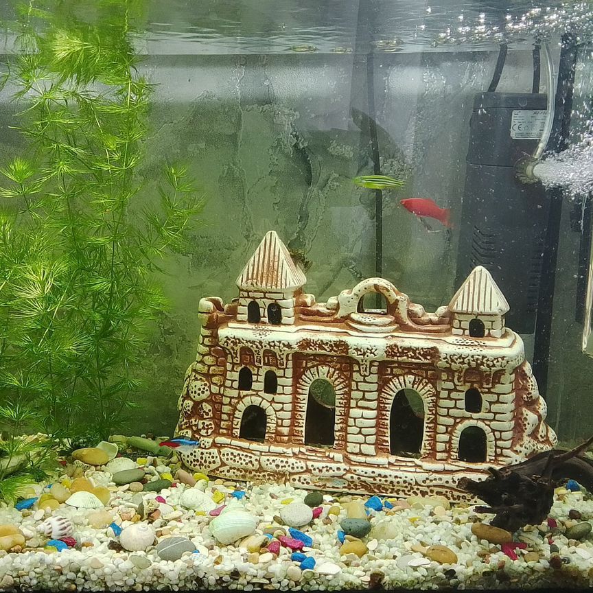 Аквариум с рыбками