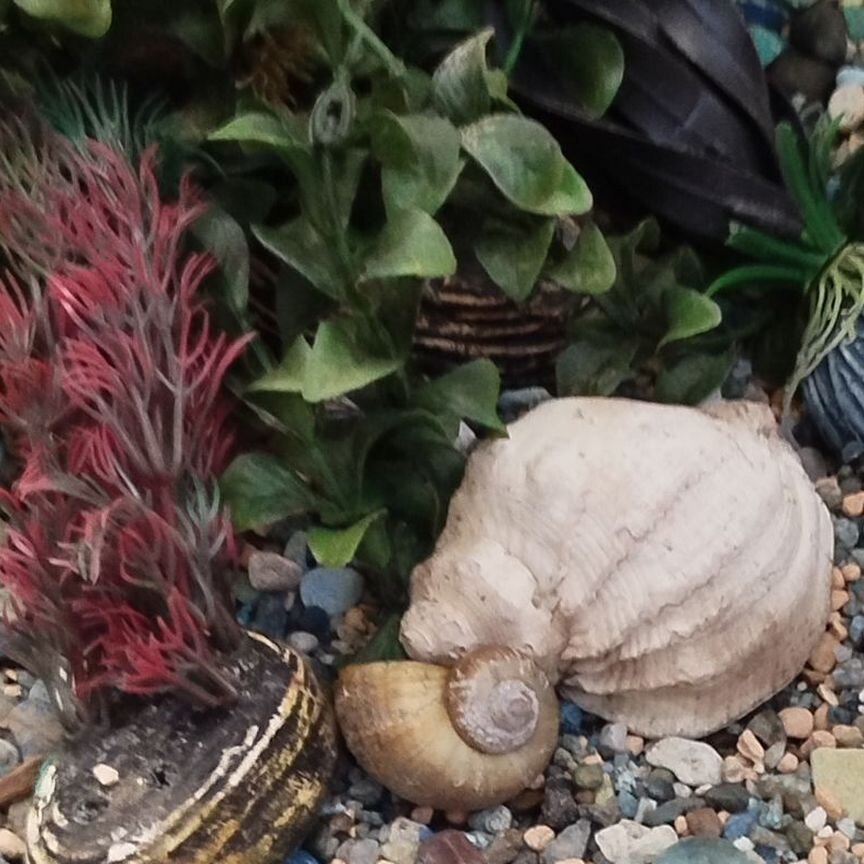 Грунт для аквариума