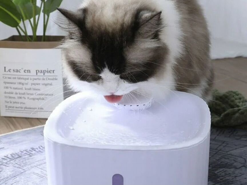 Фонтан поилка для кошек и собак