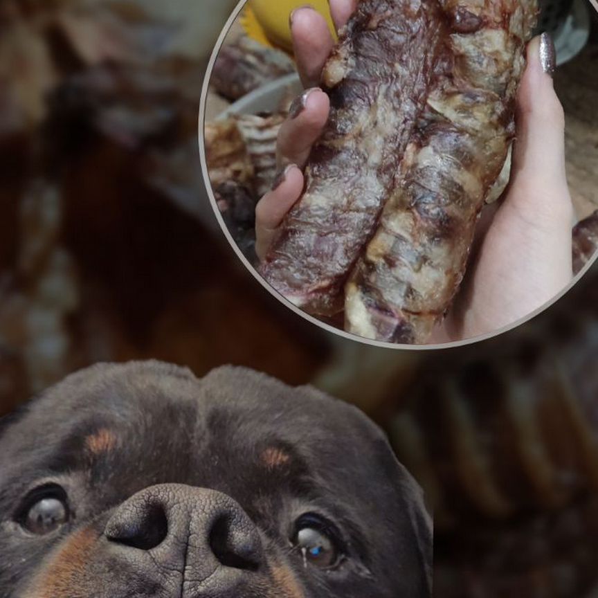 Натуральные лакомства для собак