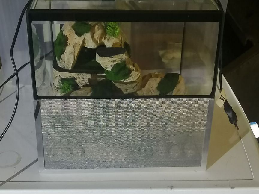 Аквариум