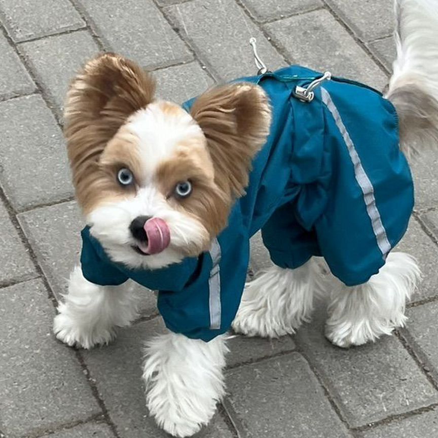 Комбинезон демисезонный