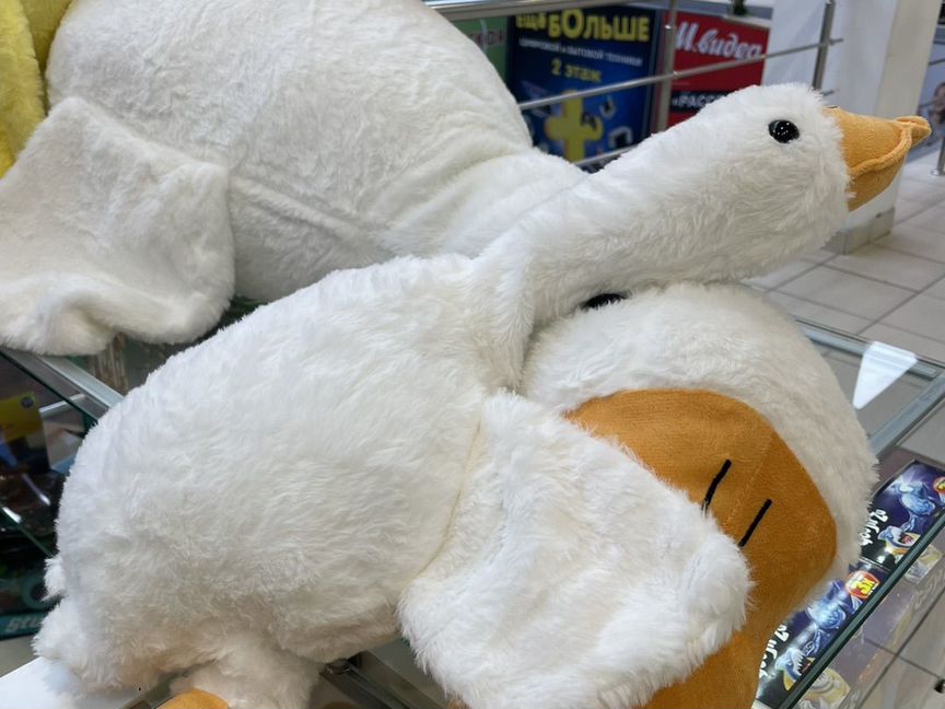 Гусь обнимусь