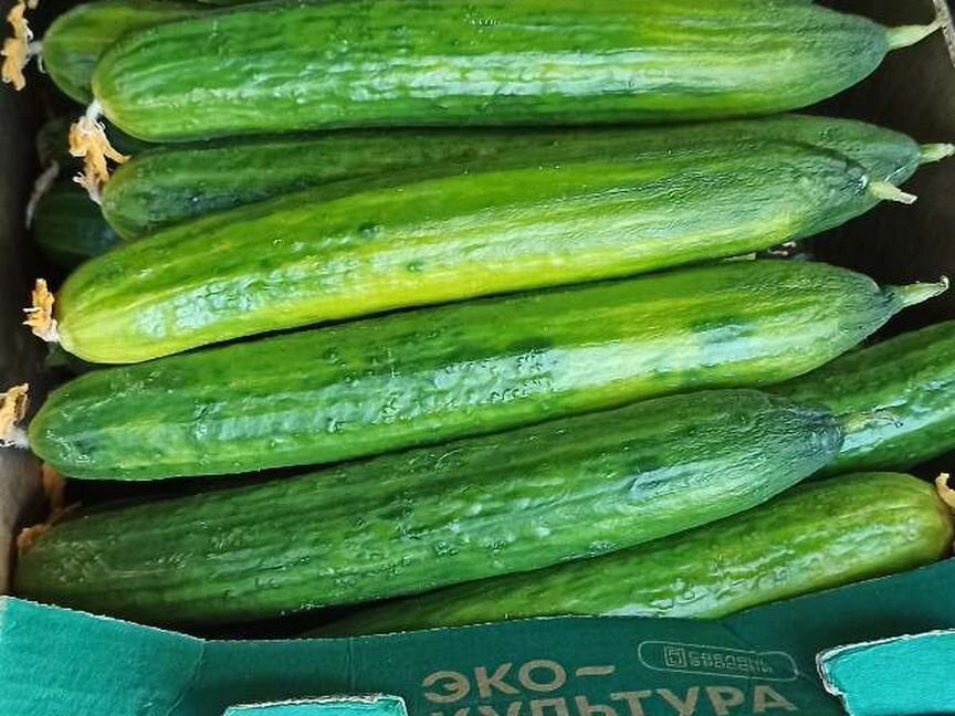 Овощи фрукты для скота оптом