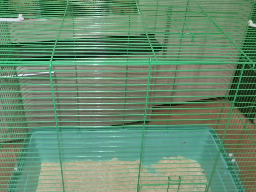 Клетка и товары для грызунов