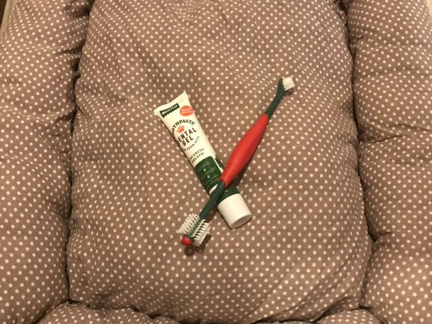 Лежак для собаки,зубная паста и зубная щетка