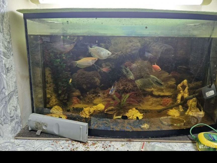 Два Аквариума(Комплект) +рыбки