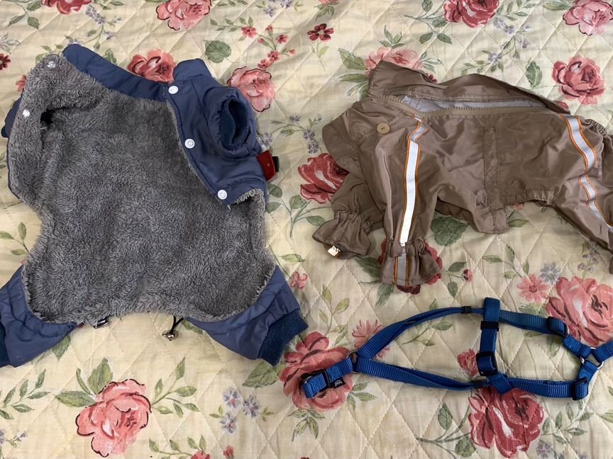 Комбинезон шлейка накидка куртка собаки йорк щенка