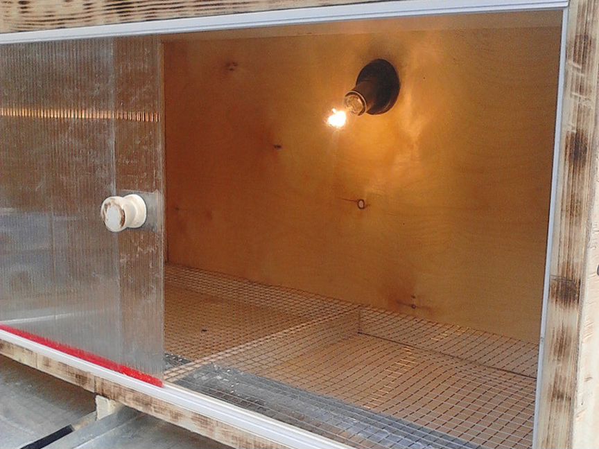 Для цыплят брудера с 1 дня до 2-3 месяцев