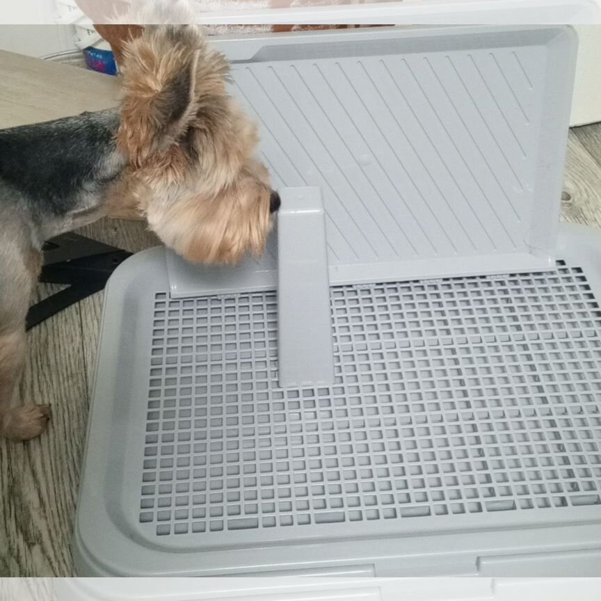 Лоток для собак со столбиком