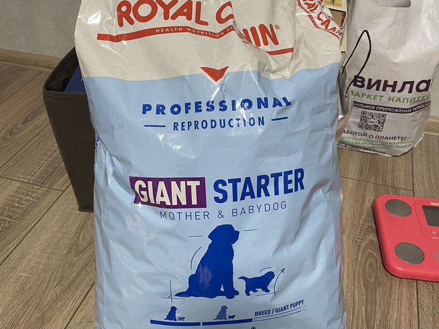 Royal canin starter