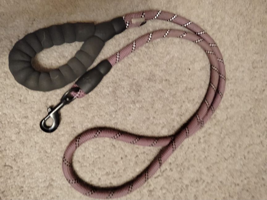 Потяг для бега с собакой