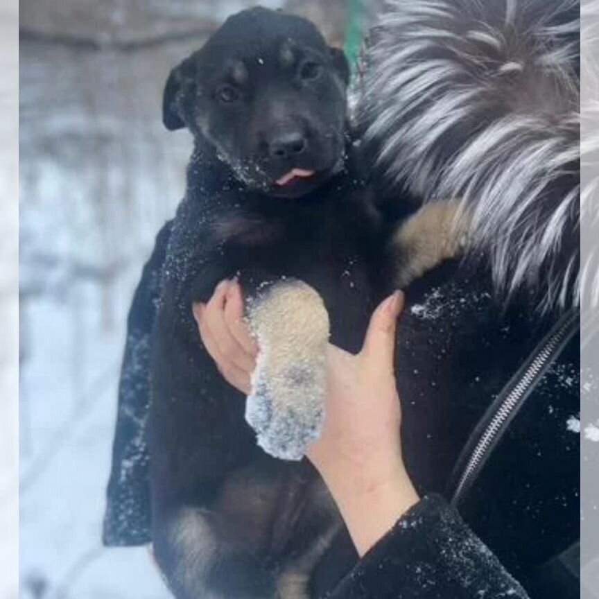 Ребёнок ищет дом