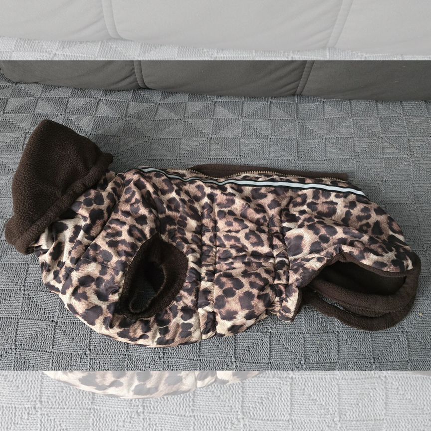 Одежда для собак средних пород девочка