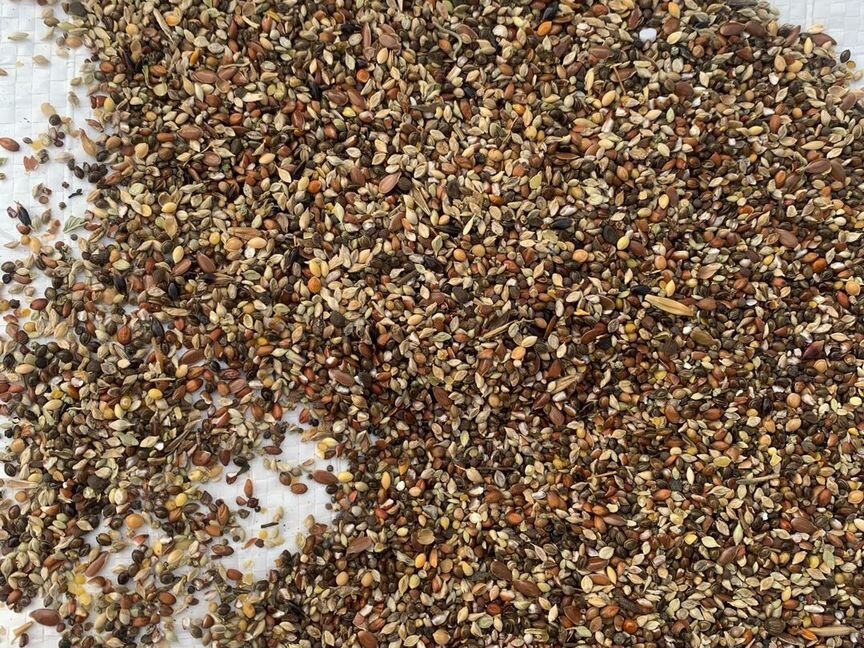 Корм для щеглов. канареек. попугаев