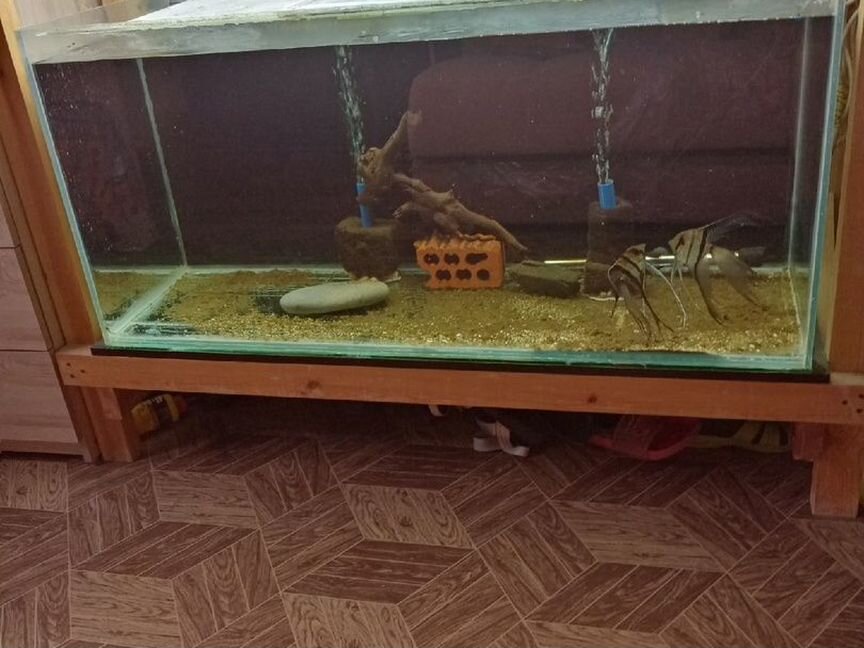 Аквариум 300 литров