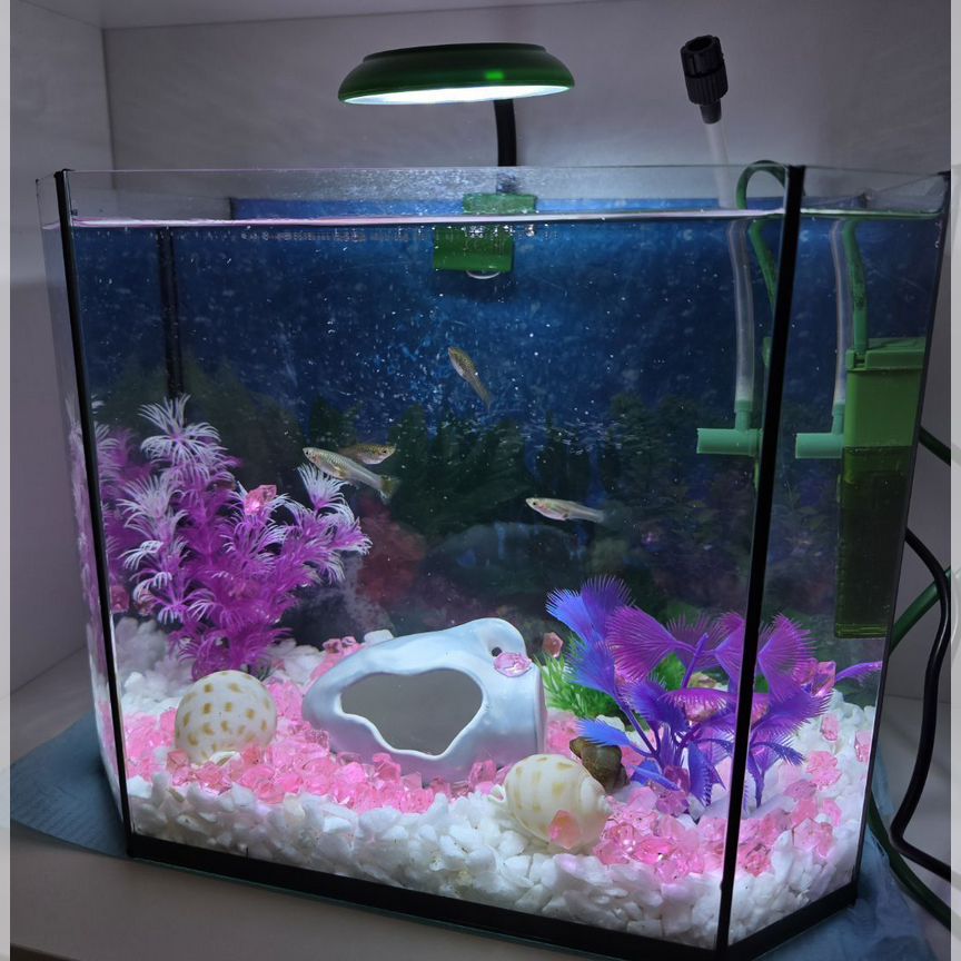 Аквариум с рыбками