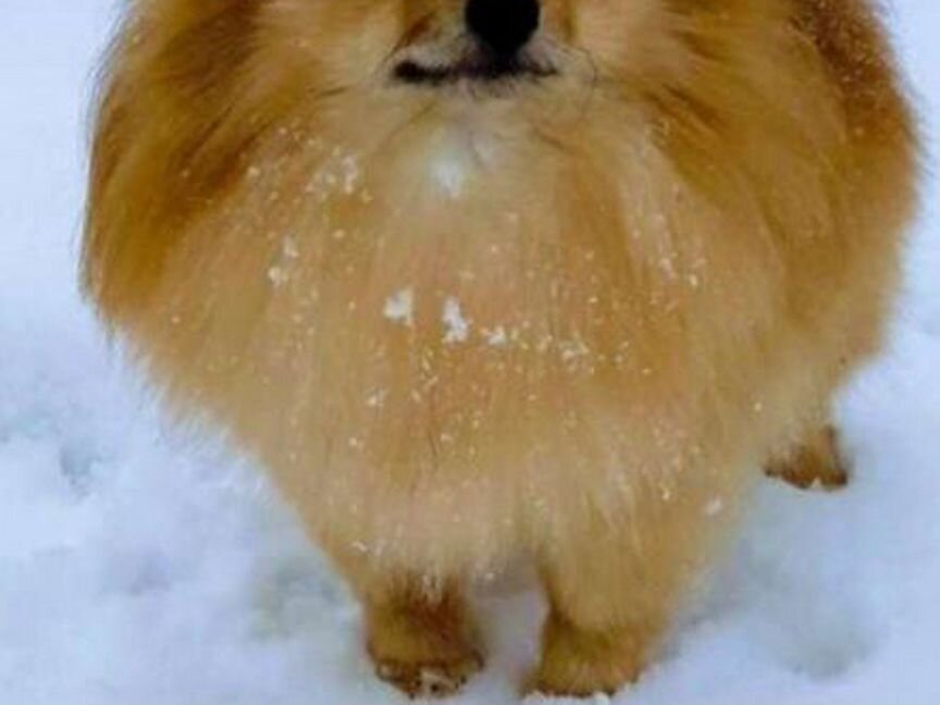 Вязка