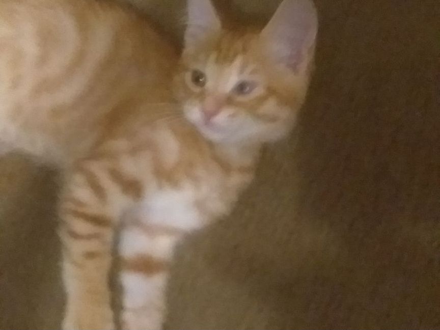 Без названия